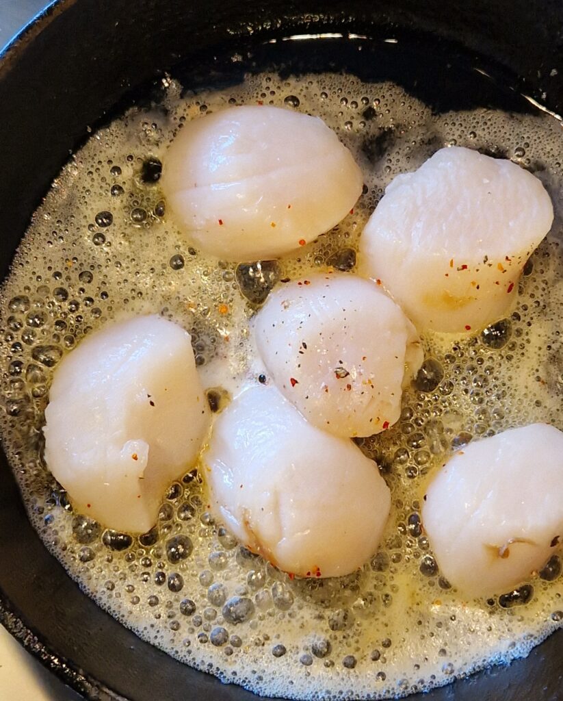 Pan-seared scallops with creamed fennel and leeks – Jim Drohman