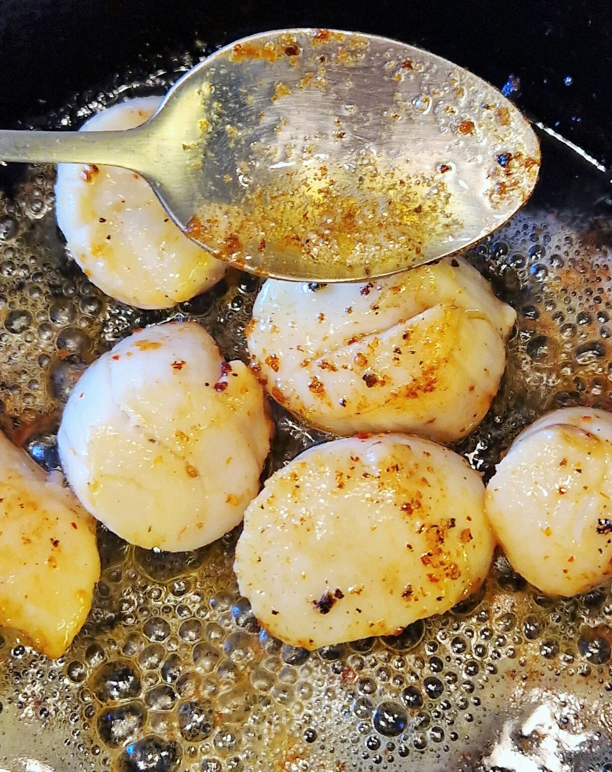 Pan-seared scallops with creamed fennel and leeks – Jim Drohman